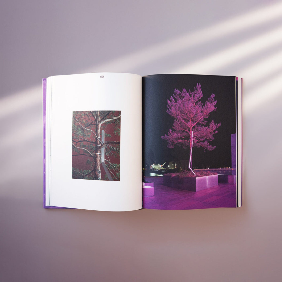 Jesper Just - The Garden in the Machine – Perrotin New York