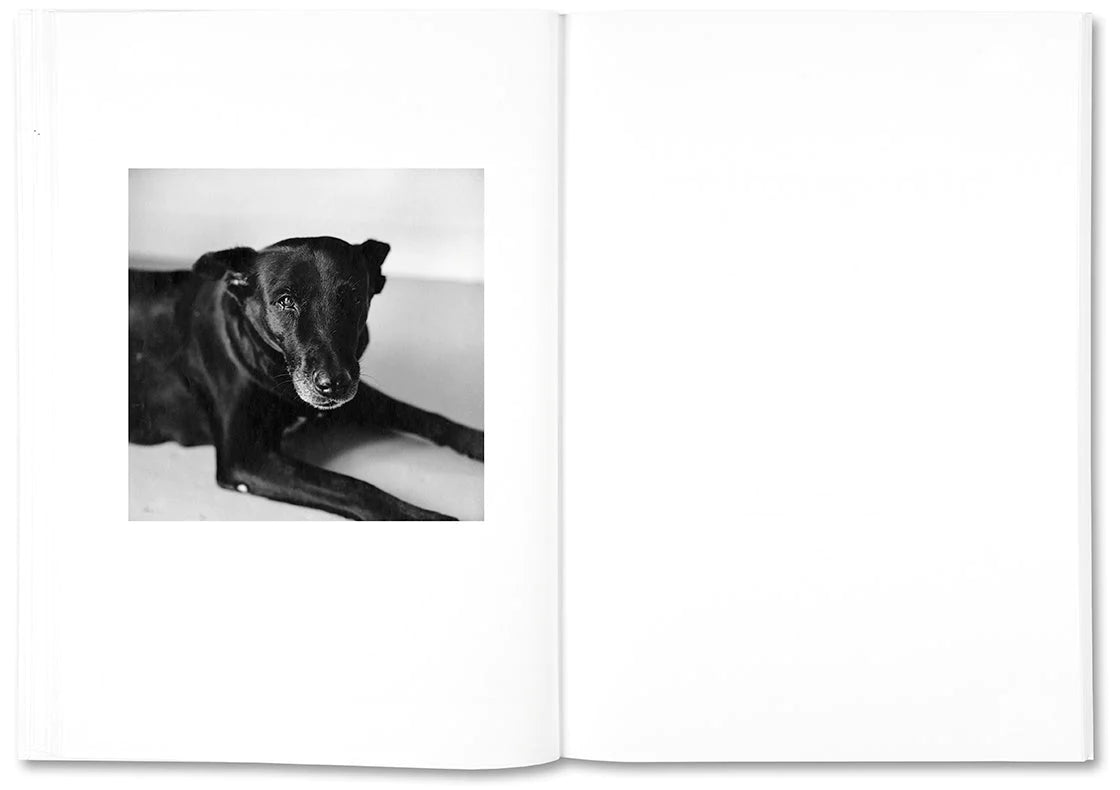 Moyra Davey & Peter Hujar - The Shabbiness of Beauty – Perrotin New York
